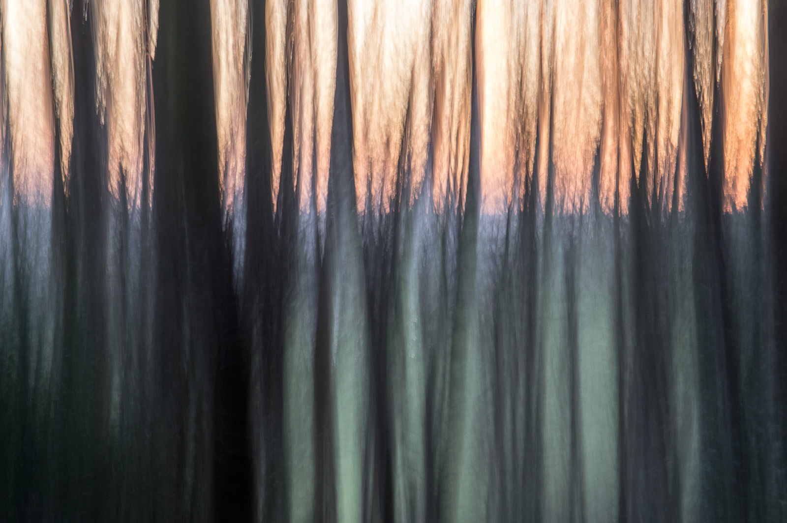 Ashton Court ICM, Sunset I - Bill Ward Photography