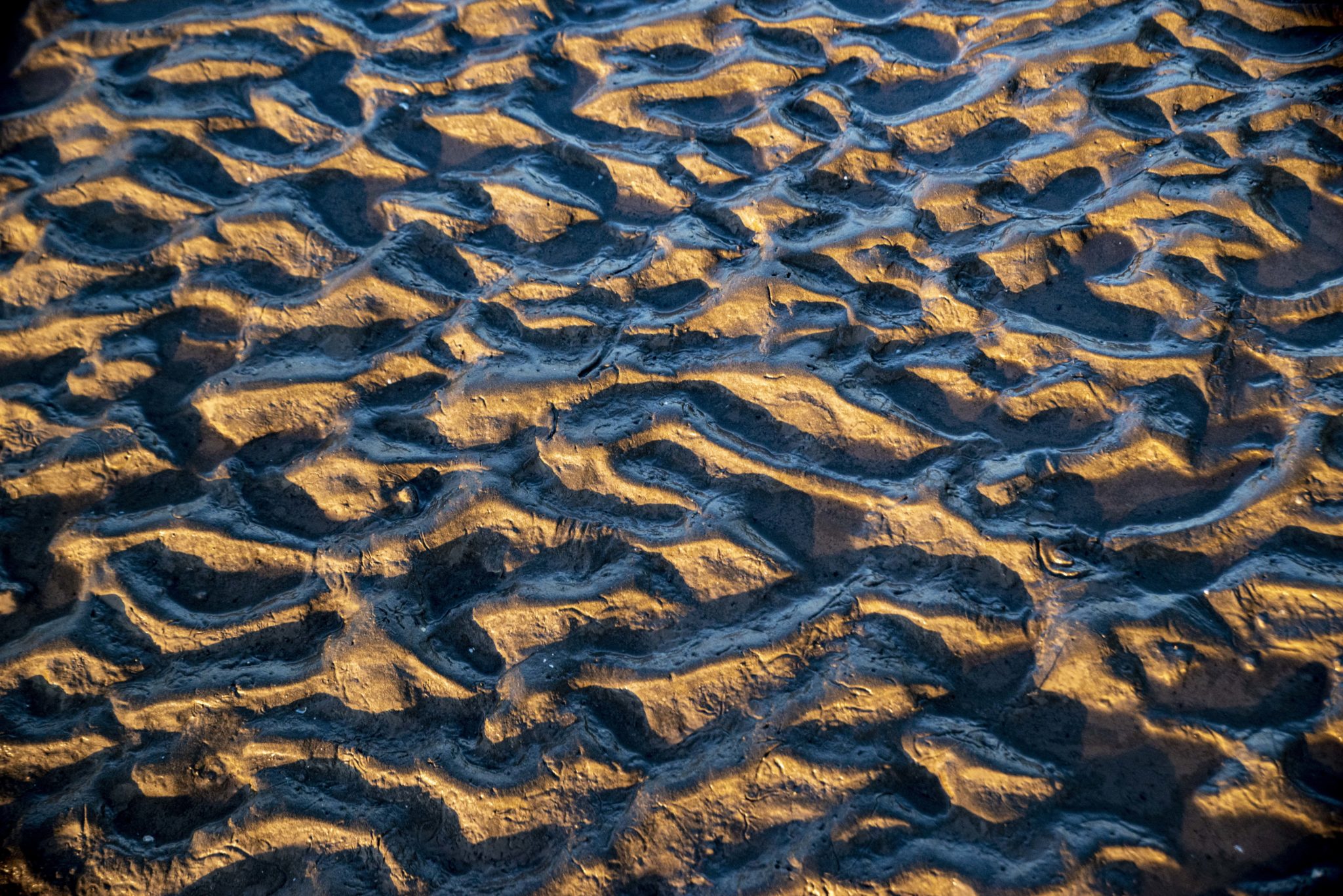 Landscape Photographer of the Year 2021 “In Praise of Mud” Article ...